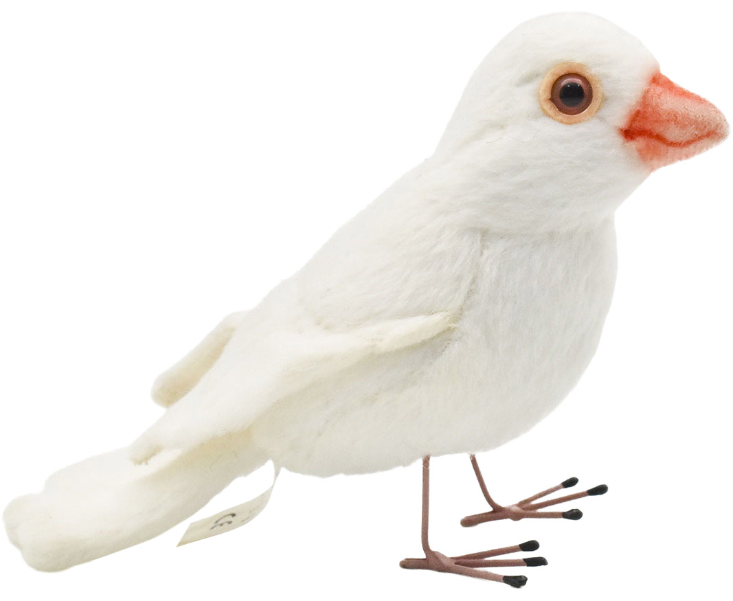 【送料別途】【HANSA製品】シロブンチョウ 13 JAVA SPARROW 株式会社 ナノプラン 問屋・仕入れ・卸・卸売の専門【仕入れなら ...