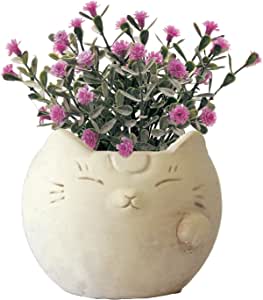 167495 ネコポット デイジーPA 雑貨のFULTAC（フルタック） | 卸売・ 問屋・仕入れの専門サイト【NETSEA】