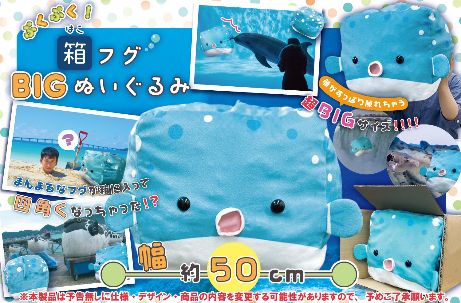 ぷくぷく箱フグBIGぬいぐるみ【ぬいぐるみ】 | 卸売・ 問屋・仕入れの専門サイト【NETSEA】