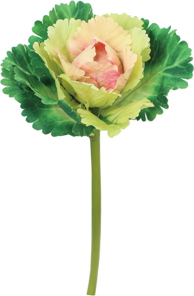 【造花】葉牡丹 グリーン FS －5423GR | 卸売・ 問屋・仕入れの専門サイト【NETSEA】