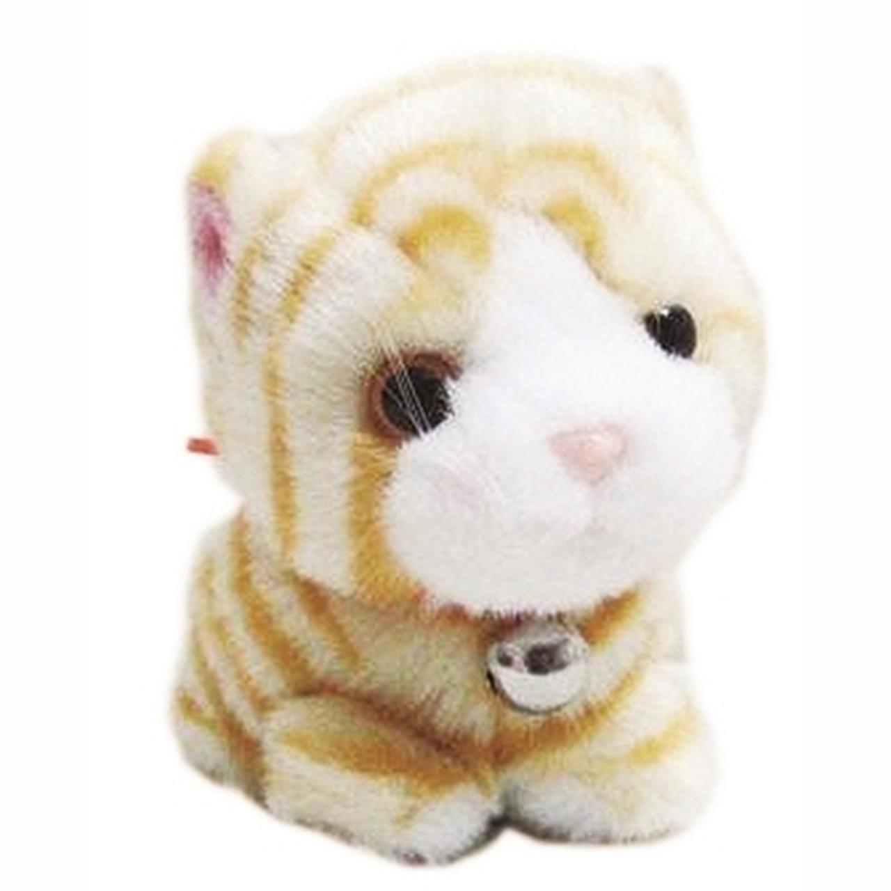 キャンディシェリーネコベージュ T-room 問屋・仕入れ・卸・卸売の専門【仕入れならNETSEA】