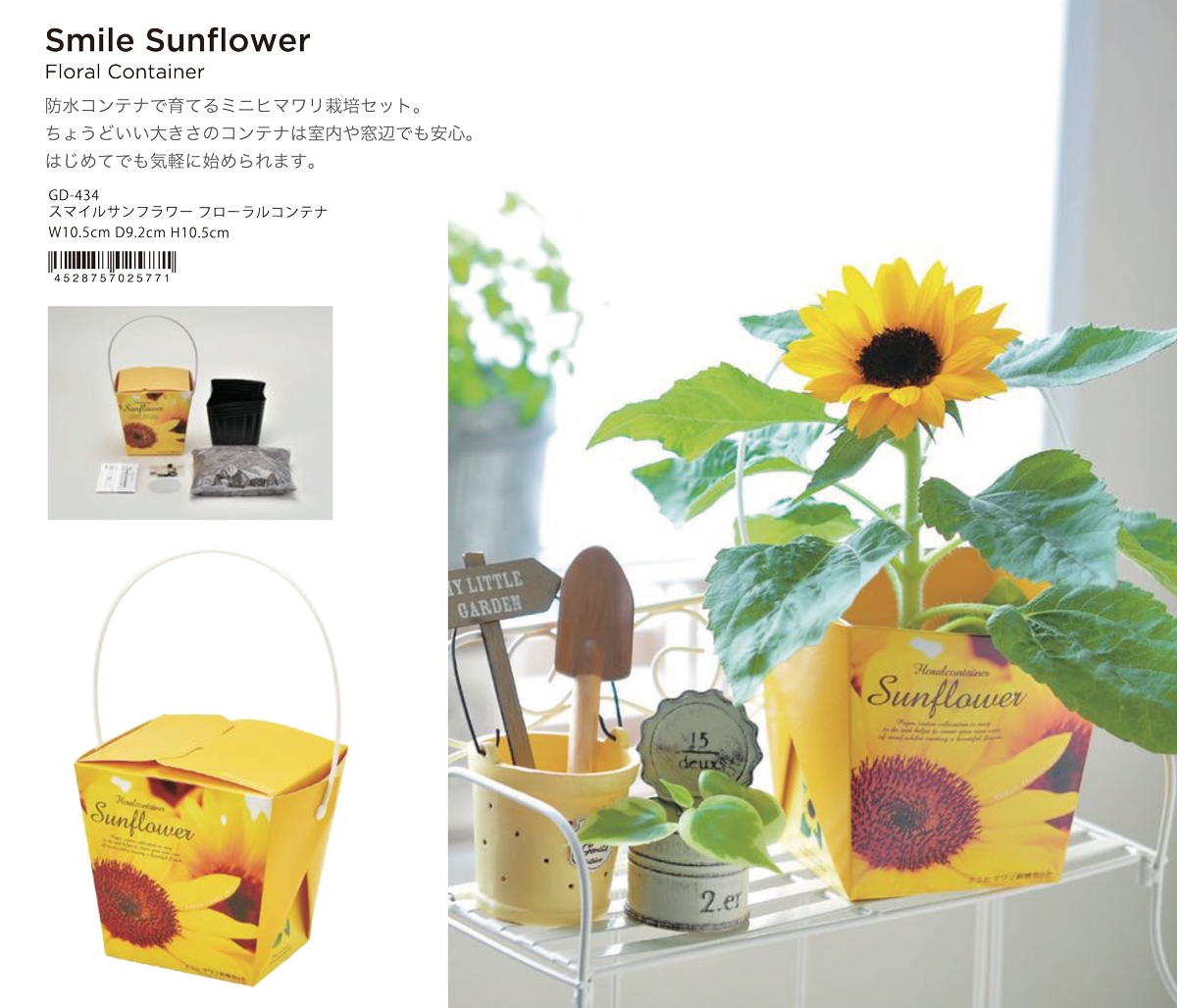 「栽培セット」スマイル サンフラワー フローラルコンテナ | 卸売・ 問屋・仕入れの専門サイト【NETSEA】