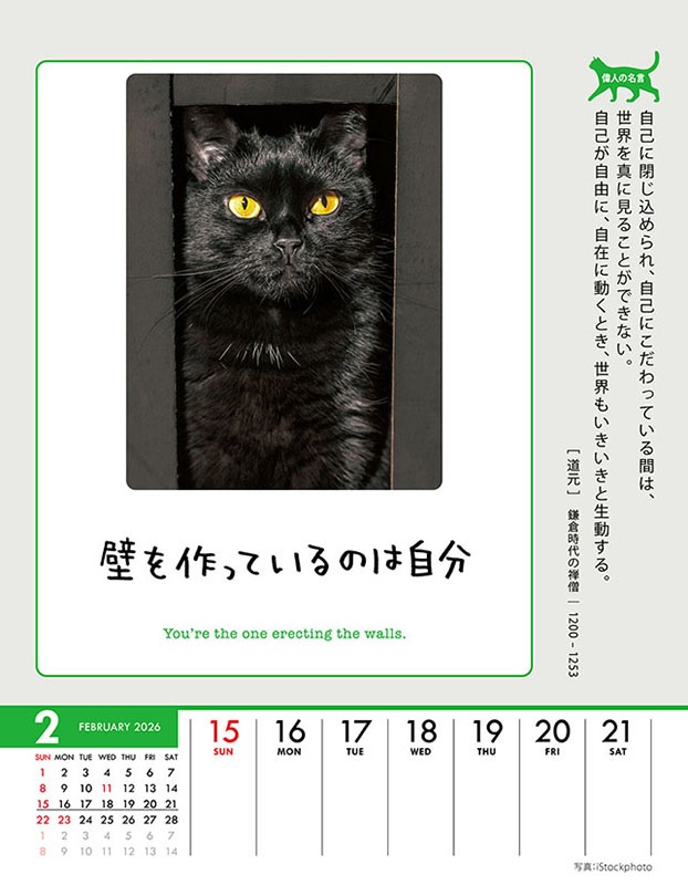 カレンダー 2026年 人生はニャンとかなる！ 卓上/壁掛け CL-384 | 卸売・ 問屋・仕入れの専門サイト【NETSEA】