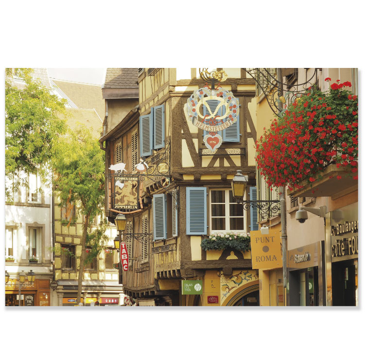 NICE TRIPポストカード F12-PA-203 株式会社 アクティブコーポレーション 問屋・仕入れ・卸・卸売の専門【仕入れならNETSEA】