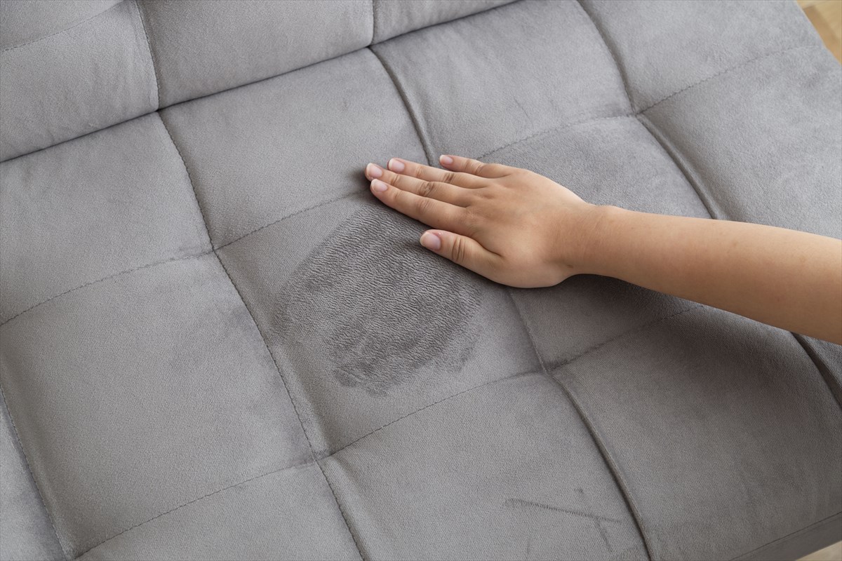 【2点セット】Lillian ベロアソファ 株式会社 イーナ 問屋・仕入れ・卸・卸売の専門【仕入れならNETSEA】