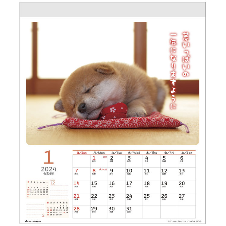 DOGウォールカレンダー 24ACL-01 2024年カレンダー 株式会社 アクティブコーポレーション 問屋・仕入れ・卸・卸売の専門【仕入れならNETSEA】