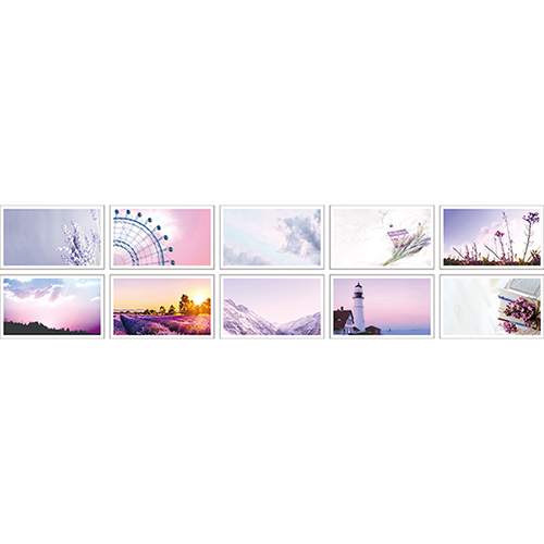 日本製 made in japan ゼンブチガウトレペフォトMカードパープル 株式会社フジキン 問屋・仕入れ・卸・卸売の専門【仕入れならNETSEA】