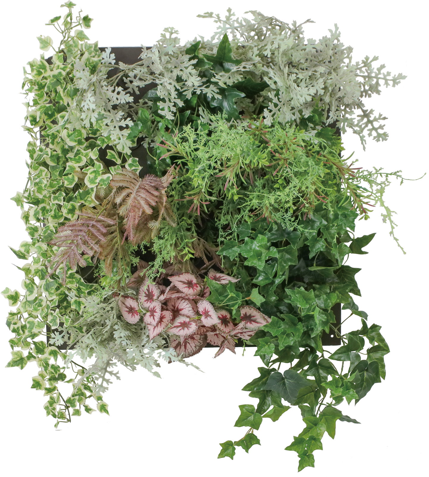 【雑貨】ロックプランツセットD PDSS-0024 横浜ディスプレイミュージアム 問屋・仕入れ・卸・卸売の専門【仕入れならNETSEA】