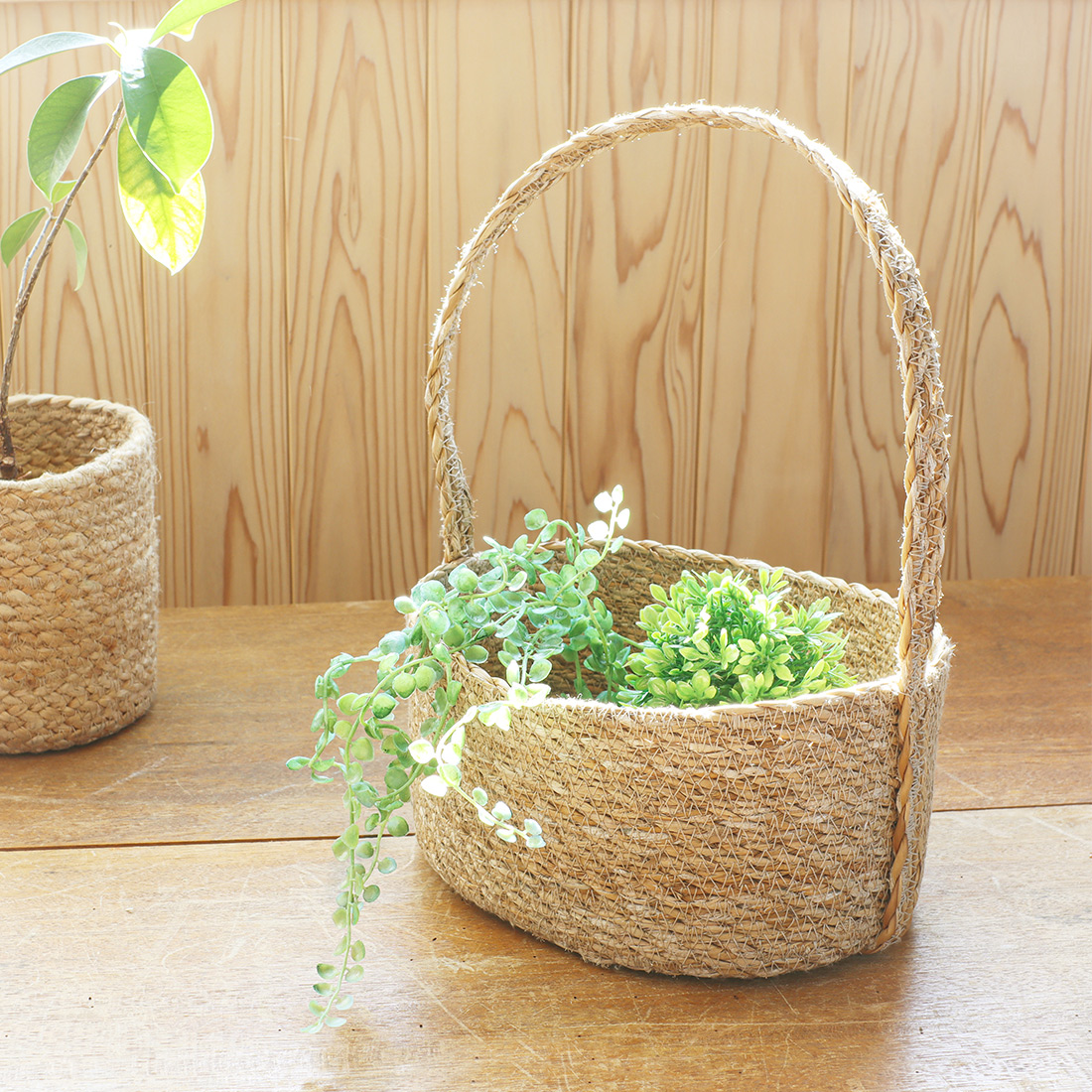 ハンドルバスケット ナチュラルシーグラス オーバルM[かごカゴ天然素材アジアナチュラルハワイ春夏24SS] 株式会社 トモ・コーポレーション | 卸売・ 問屋・仕入れの専門サイト【NETSEA】