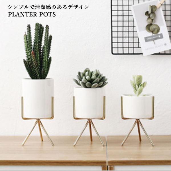 植木鉢 プランター 多肉植物 多肉ポット 盆栽鉢植え 植木鉢 花瓶 花台 インテリア置物 シンプル サボテン鉢 H＆Z 問屋・仕入れ・卸・卸売の専門【仕入れならNETSEA】