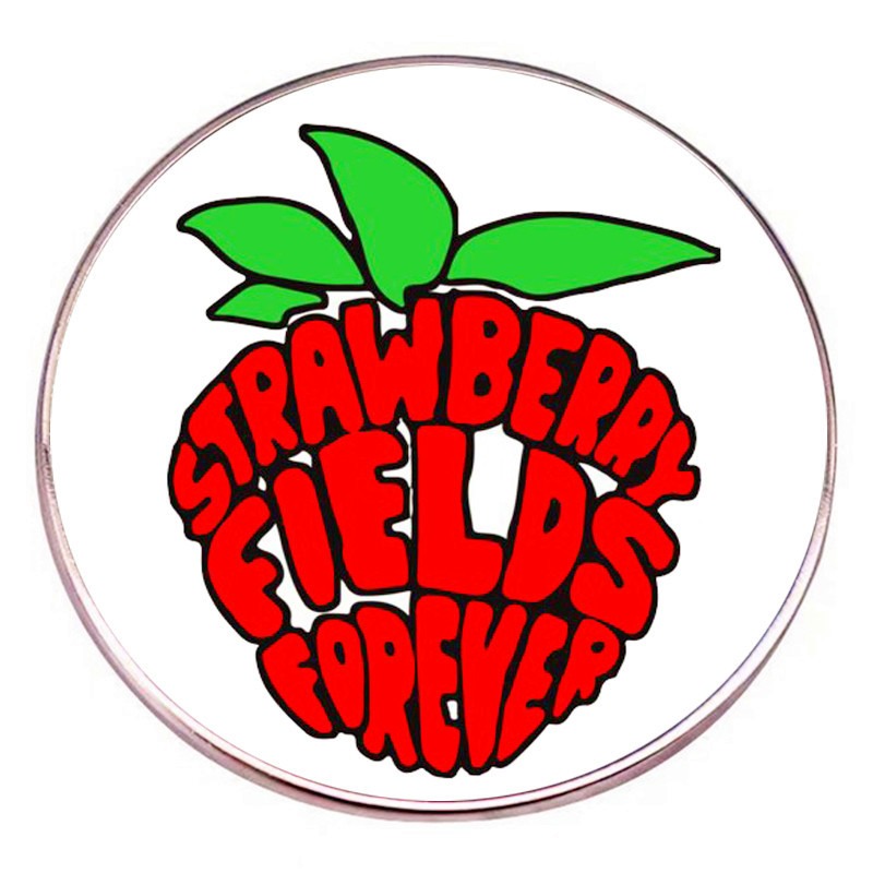 いちごブローチ フルーツ イチゴのブローチピン 金属 いちごアクセサリー いちご雑貨 MUGI 優品 問屋・仕入れ・卸・卸売の専門【仕入れならNETSEA】