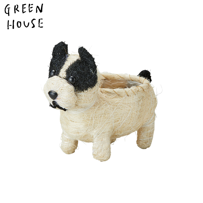 GREEN HOUSE(グリーンハウス） 2025SS 先行予約 ひだまりアニマルポット フレンチブルドッグ パディス ガーデンMALL | 卸売・ 問屋・仕入れの専門サイト【NETSEA】