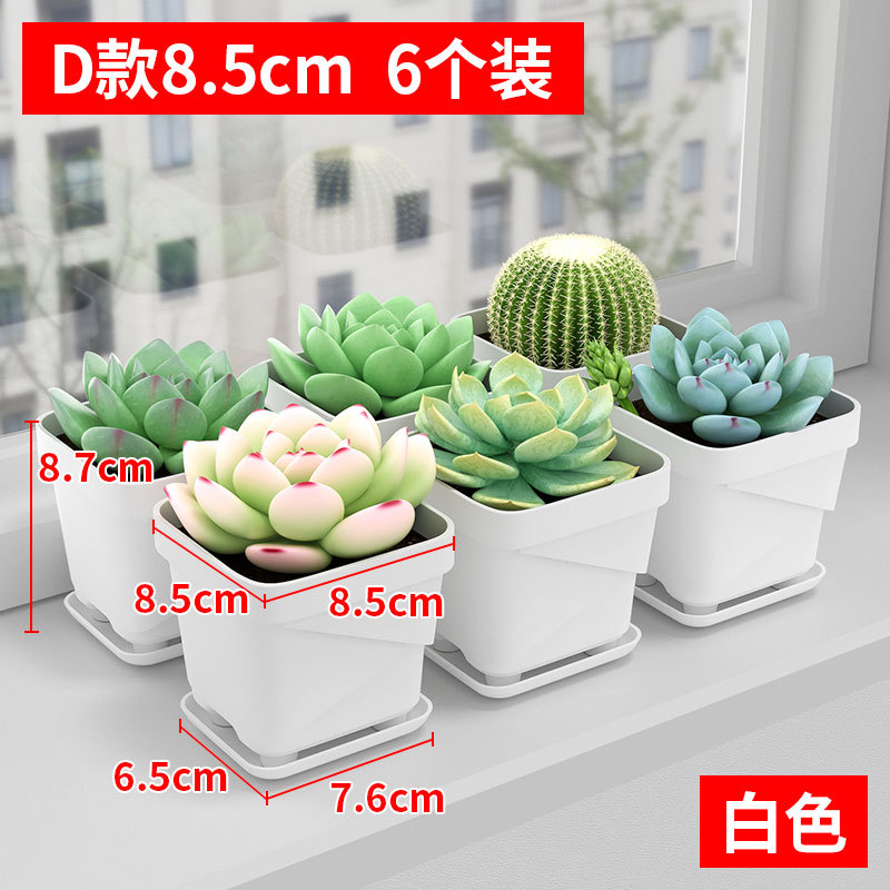 小さな多肉専用 角形 PPプラスチック植木鉢 トレイD 白 8.5cm 6個 | 卸売・ 問屋・仕入れの専門サイト【NETSEA】