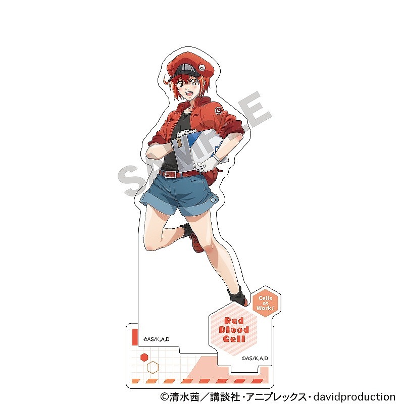 2024AW 先行予約 はたらく細胞 アクリルスタンド 赤血球 Paddy’s Market (パディスマーケット) 問屋・仕入れ・卸・卸売の専門【仕入れならNETSEA】
