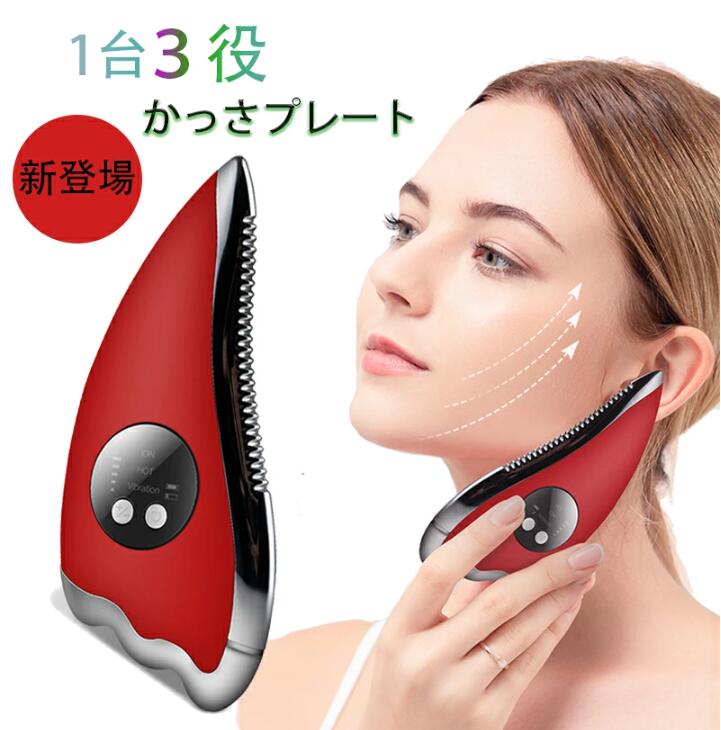 かっさ かっさプレート カッサ 美顔器 電動 かっ さ プレート 温熱 顔 かっさ 小顔 アップ 首 EMS | 卸売・ 問屋・仕入れの専門サイト【NETSEA】