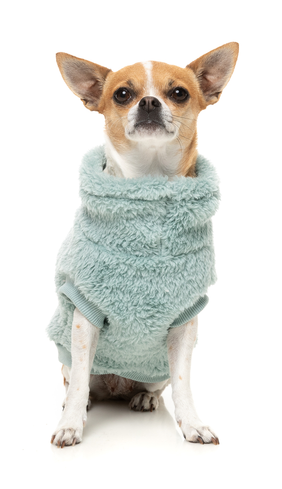 タートル テディ25 セーター アークティックブルー | 卸売・ 問屋・仕入れの専門サイト【NETSEA】