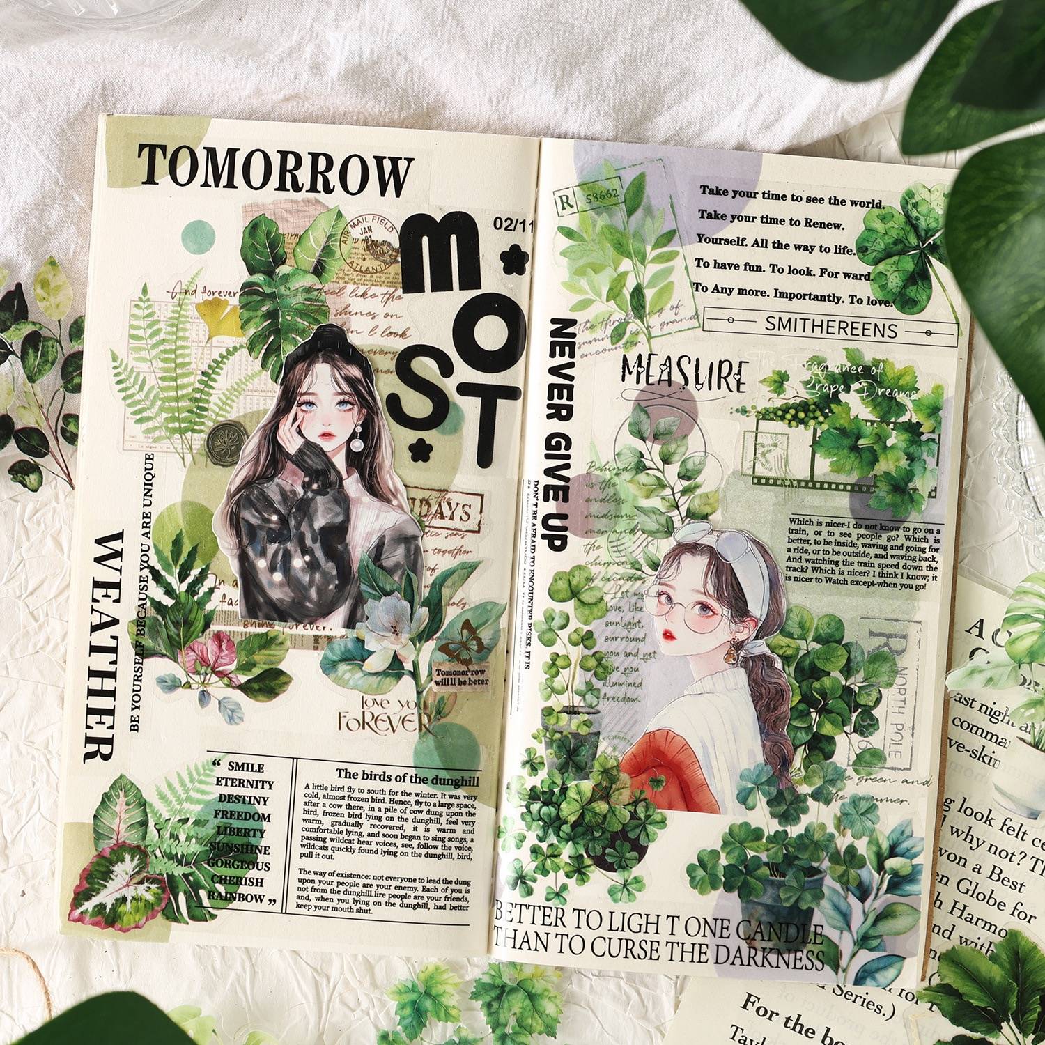 植物实验室PETシール おしゃれな葉っぱ 防水手帳素材 | 卸売・ 問屋・仕入れの専門サイト【NETSEA】