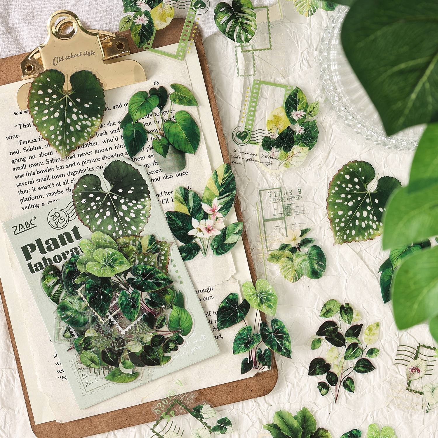 植物实验室PETシール おしゃれな葉っぱ 防水手帳素材 | 卸売・ 問屋・仕入れの専門サイト【NETSEA】